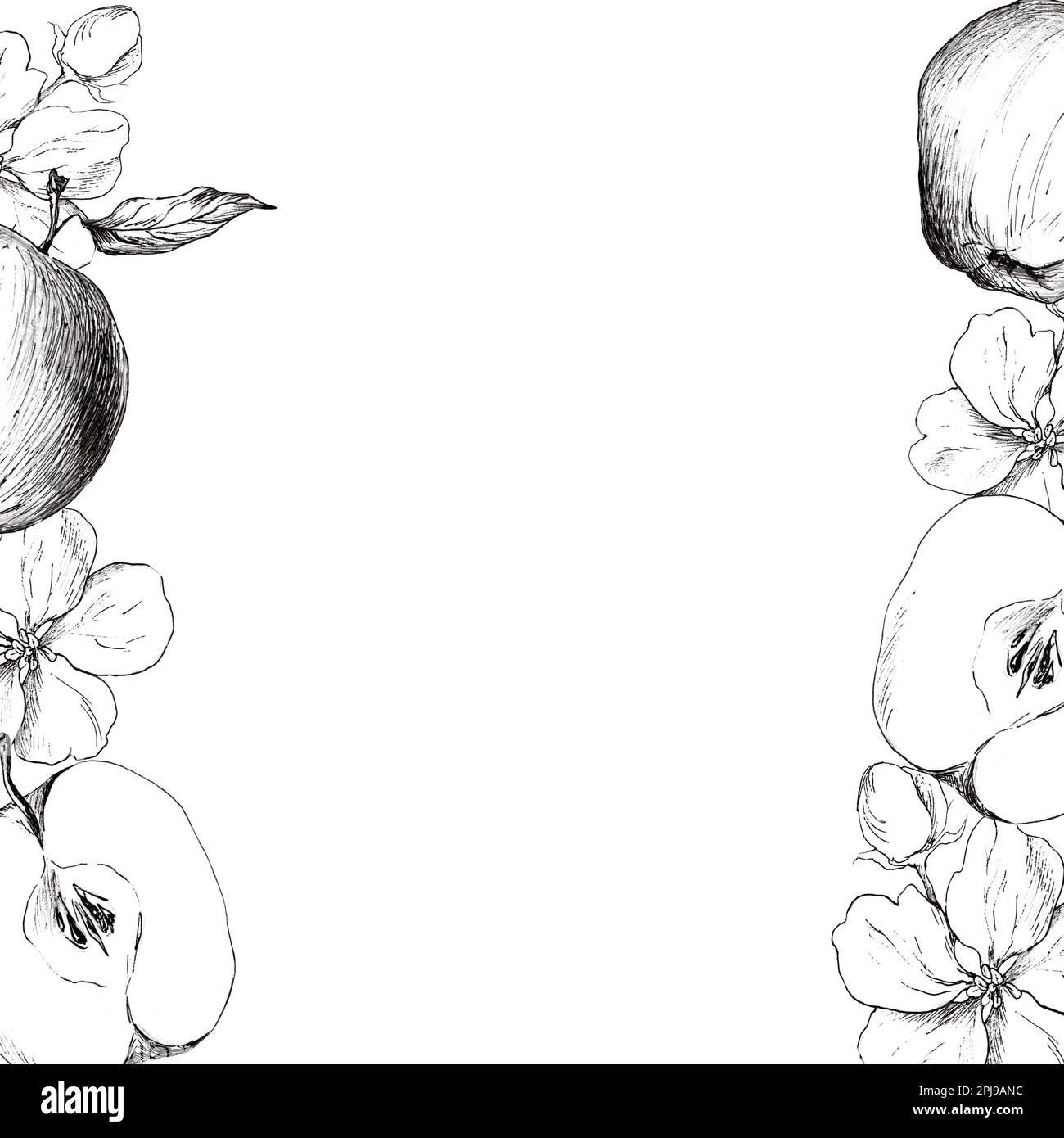 Graphic drawing of an apple on a white background. Frame for decoration ...