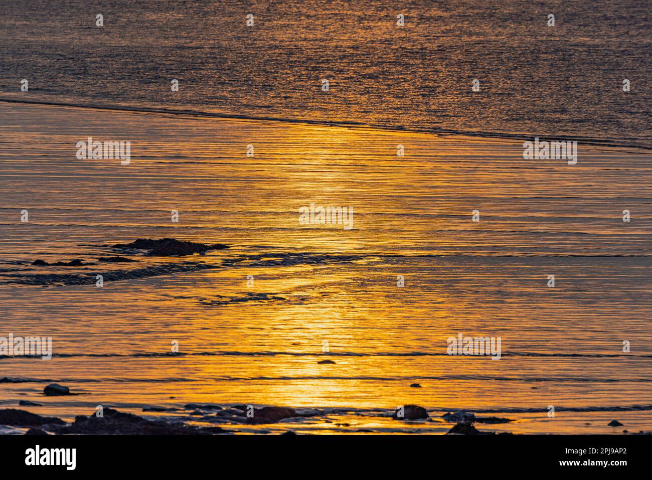 Reflecting golden sunlight hi-res stock photography and images - Alamy