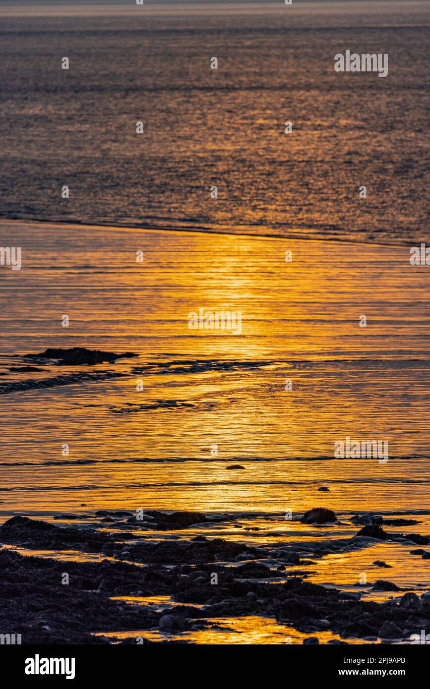 Golden sunlight reflecting onto the mud Stock Photo - Alamy