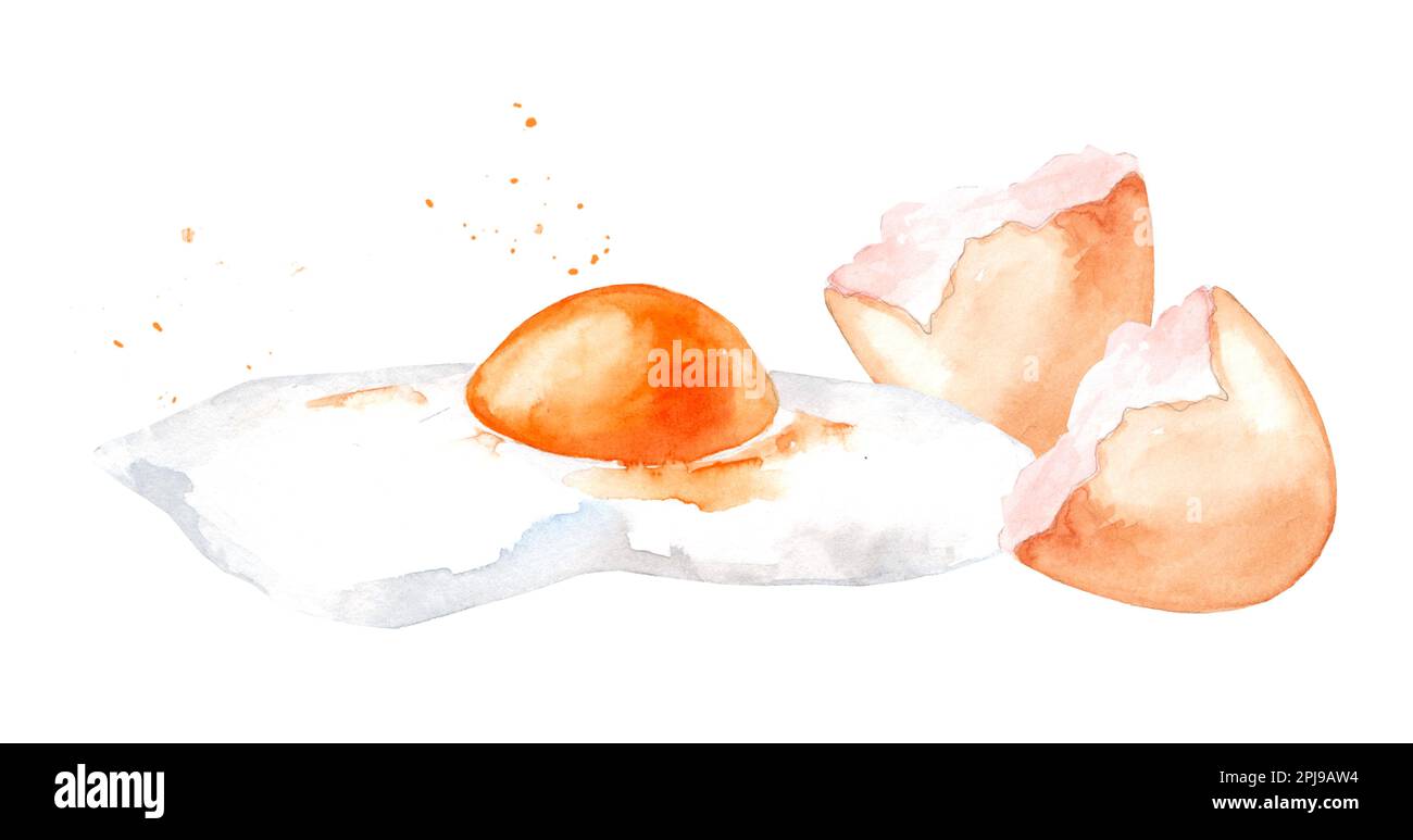 Chicken eggs. Ingredient for baking and cooking. watercolor hand drawn ...