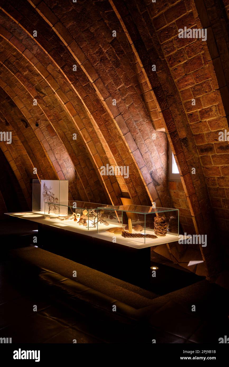 Details of catenary or parabolic arches in the attic of Casa Milà (la ...