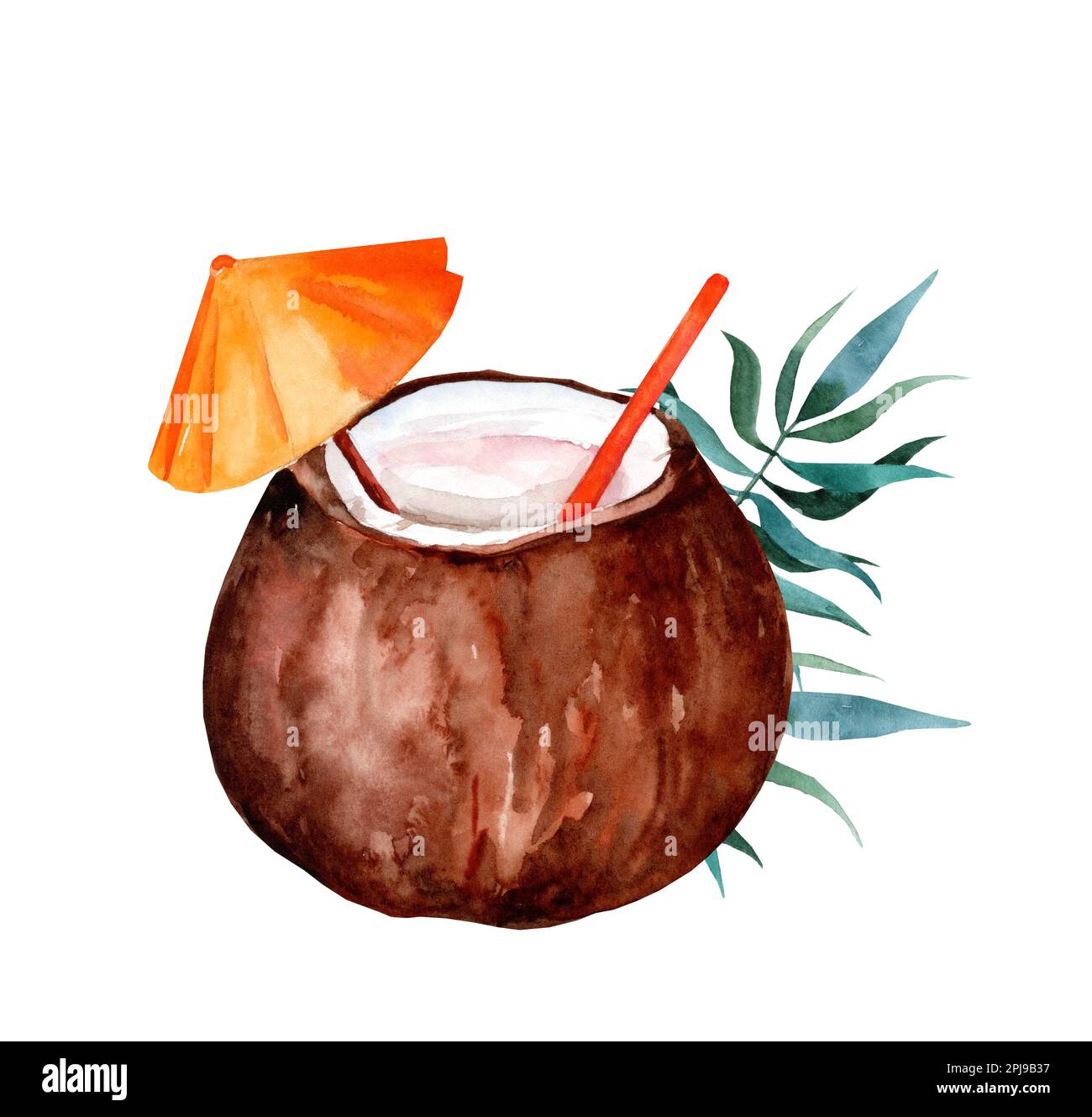 Coconut milkshake with coconut. Watercolor hand drawn illustration ...