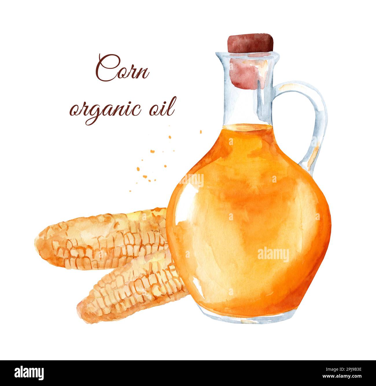 Corn oil. Watercolor hand drawn illustration Stock Photo - Alamy