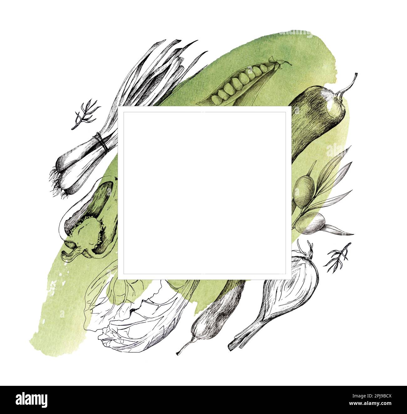 Watercolor background with hand drawn vegetables. Rectangular frame ...