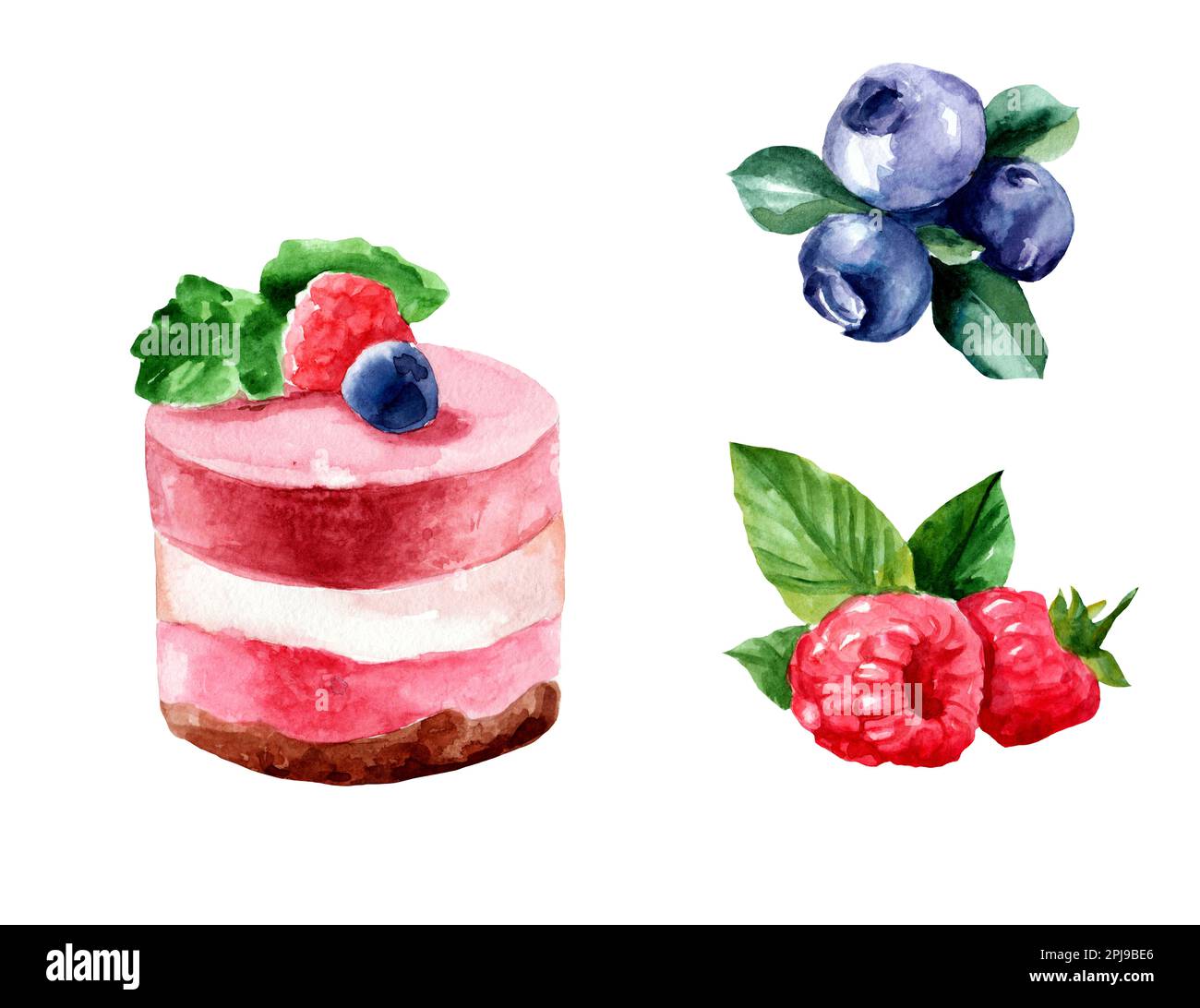 Watercolor drawing of a cake with berries and cream. Raspberries and ...