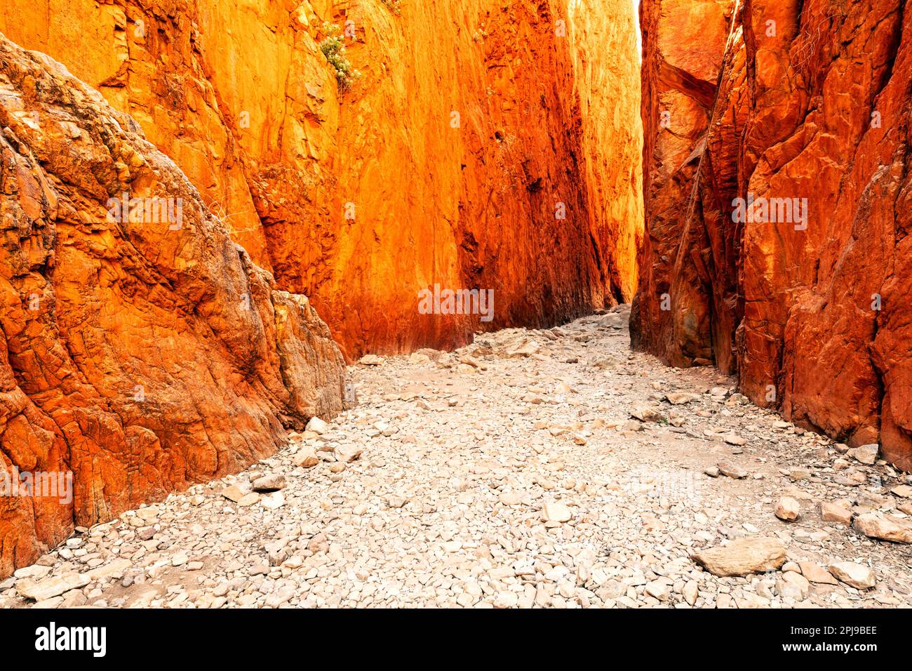 Standly hi-res stock photography and images - Alamy