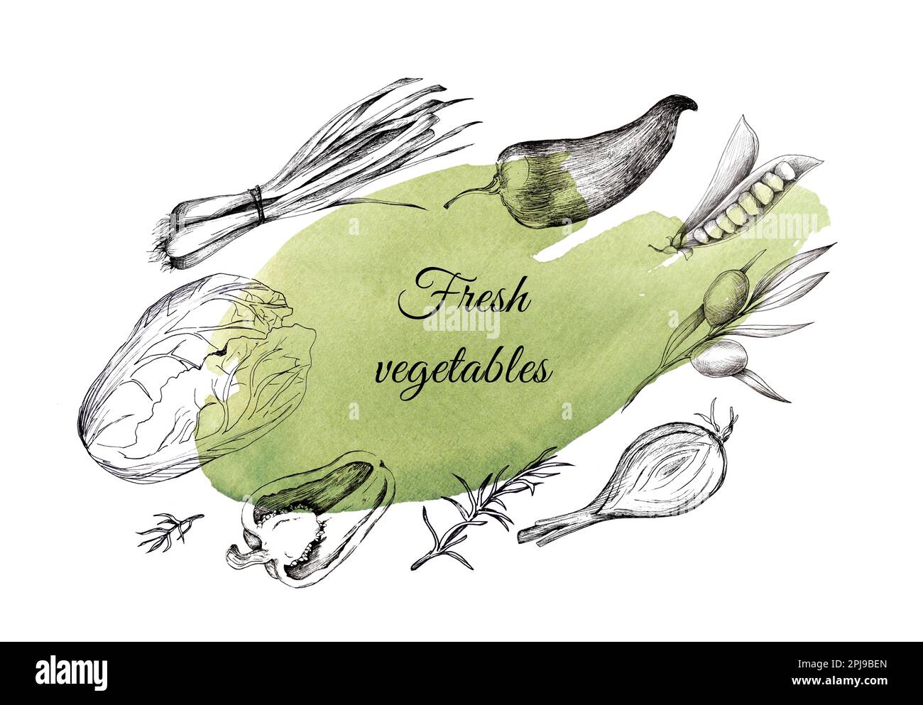 Watercolor green background with hand drawn vegetables. Lettering fresh ...