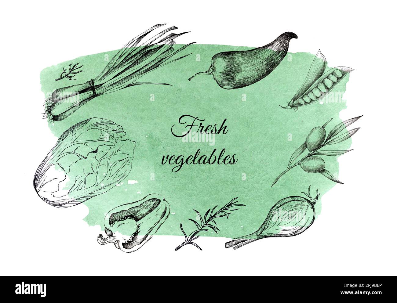 Watercolor green background with hand drawn vegetables. Lettering fresh ...
