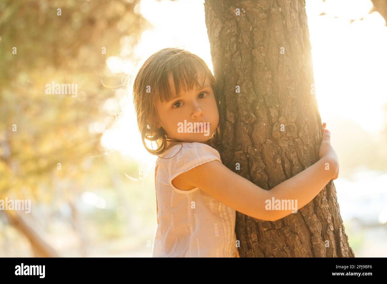 Portrait of child girl hugging the tree on the background of park Stock ...