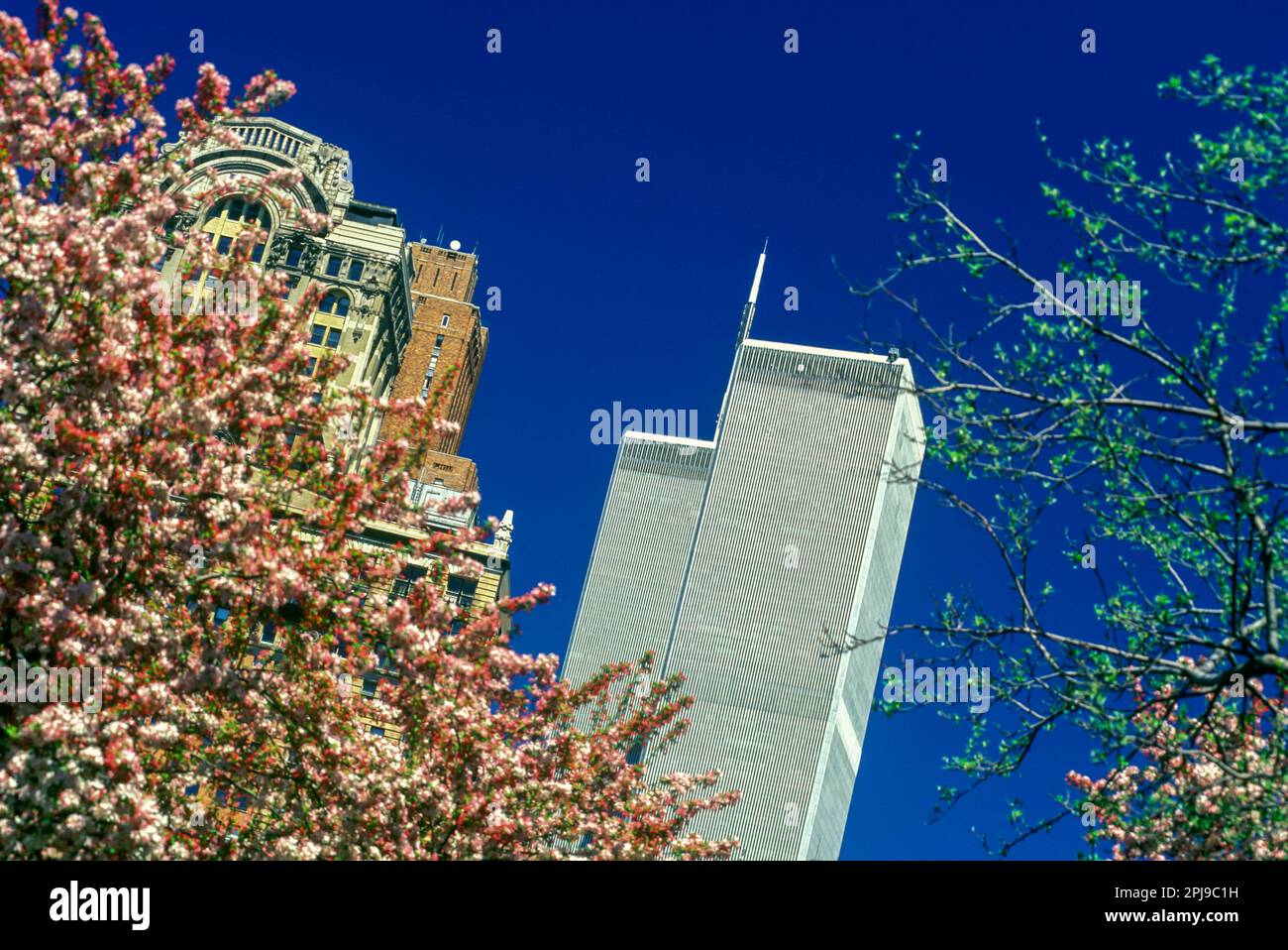 1999 HISTORICAL SPRING BLOSSOMS TWIN TOWERS (©MINORU YAMASAKI 1973 ...