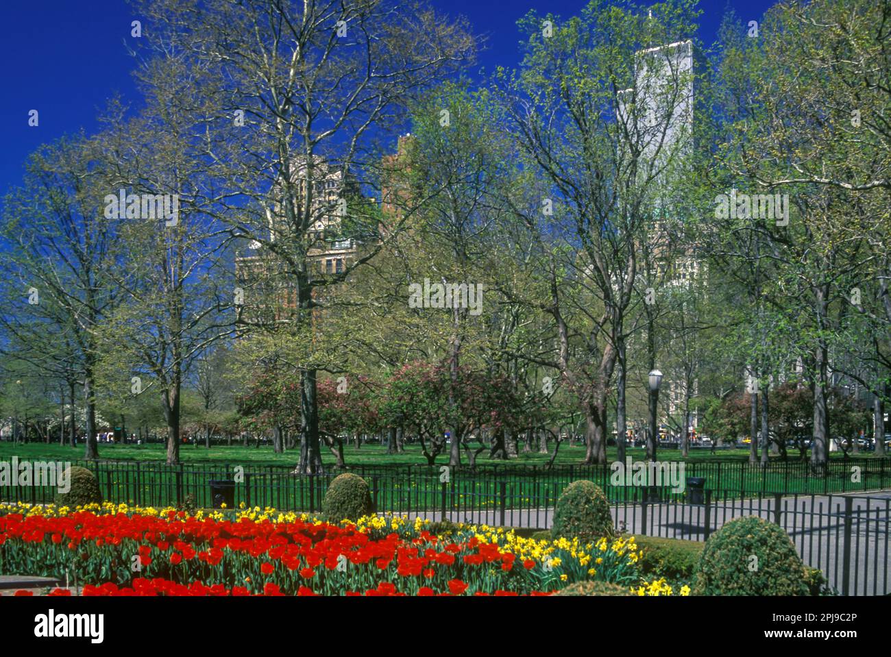 1999 HISTORICAL SPRING BLOSSOMS TWIN TOWERS (©MINORU YAMASAKI 1973 ...
