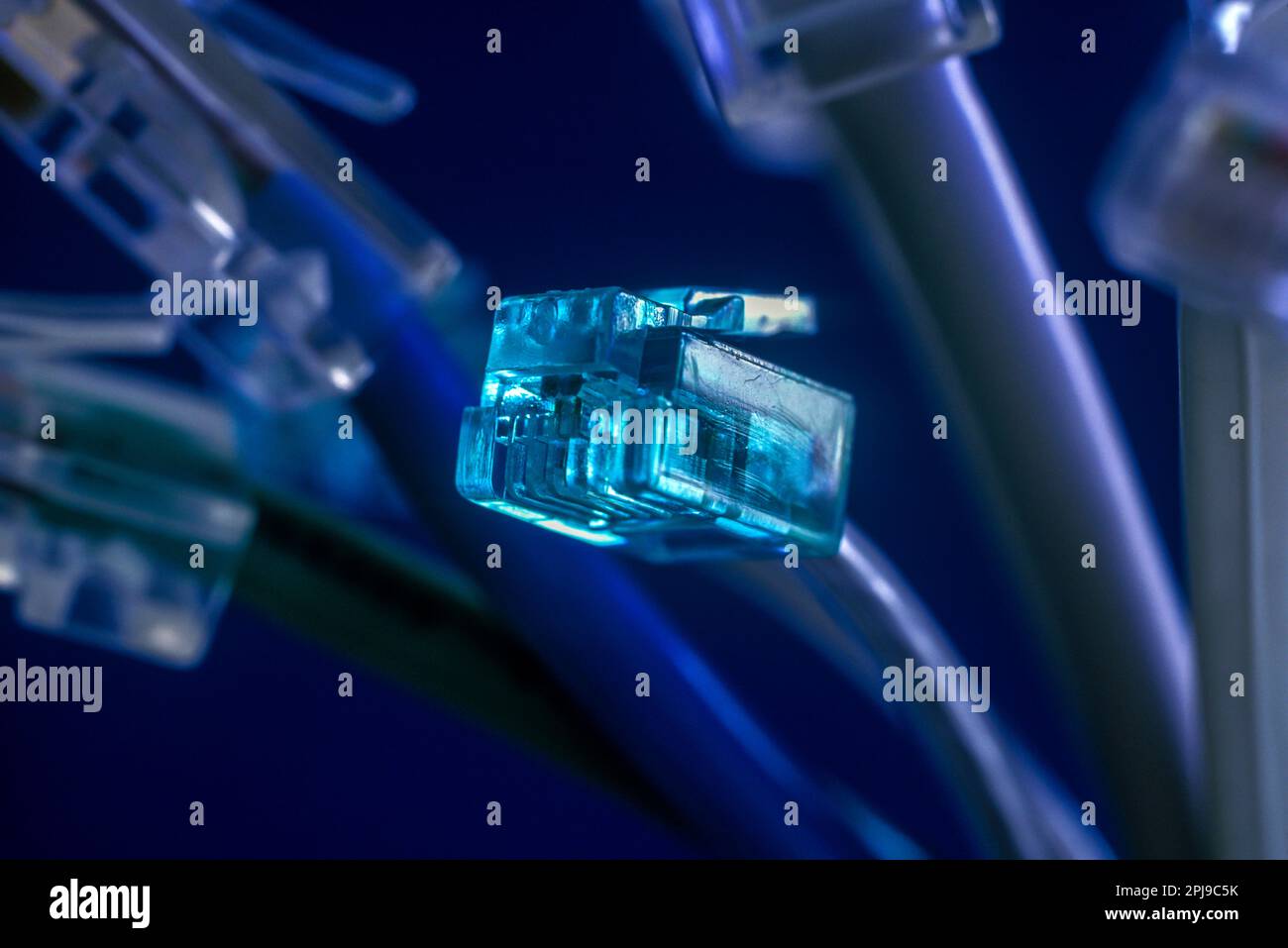 TIPS OF TELECOMMUNICATION COMPUTER CABLES Stock Photo - Alamy