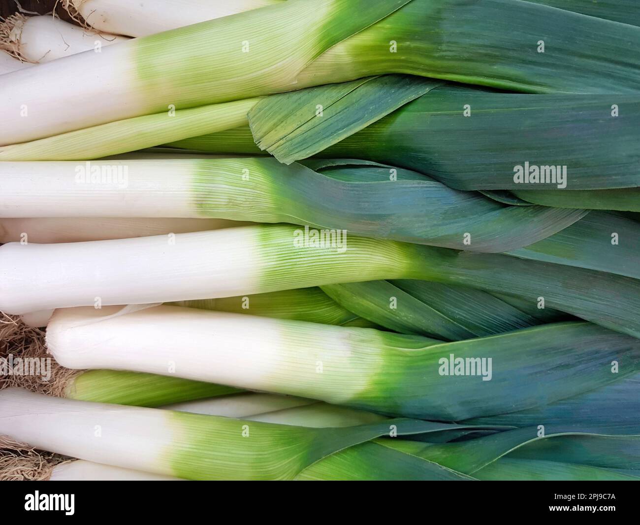 Organic Leek background. Raw green leeks Stock Photo - Alamy
