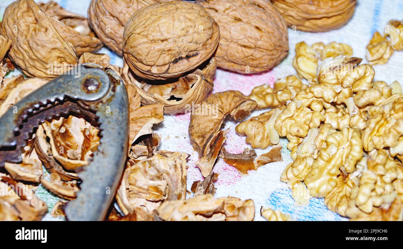 Walnuts and nutcracker on white background Stock Photo - Alamy