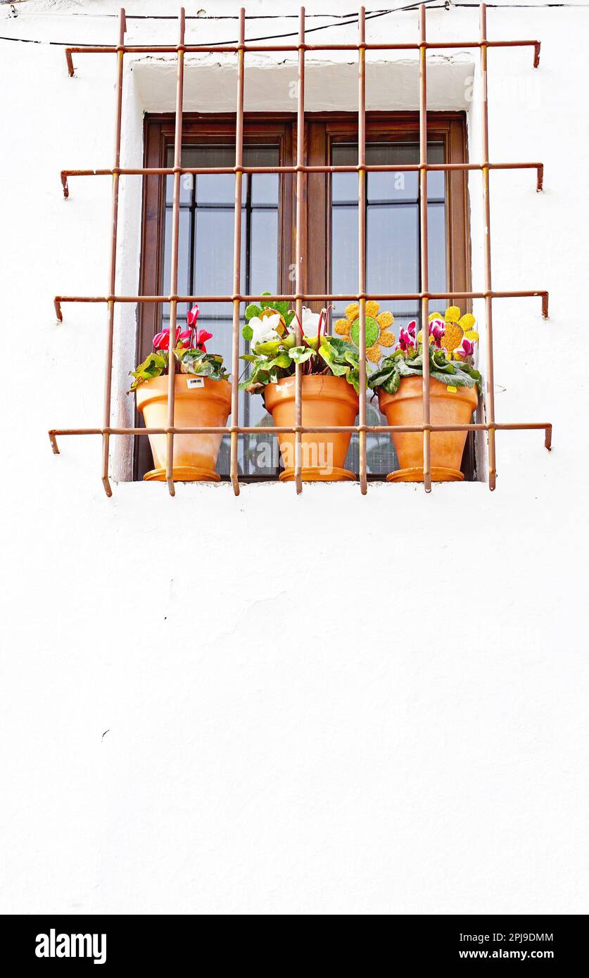 window with flower pots in a house in Canyelles in the El Garraf region ...