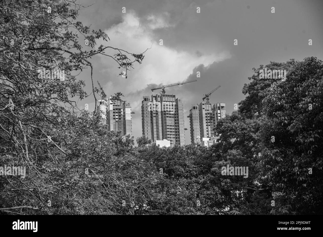 Viharamahadevi story Black and White Stock Photos & Images - Alamy