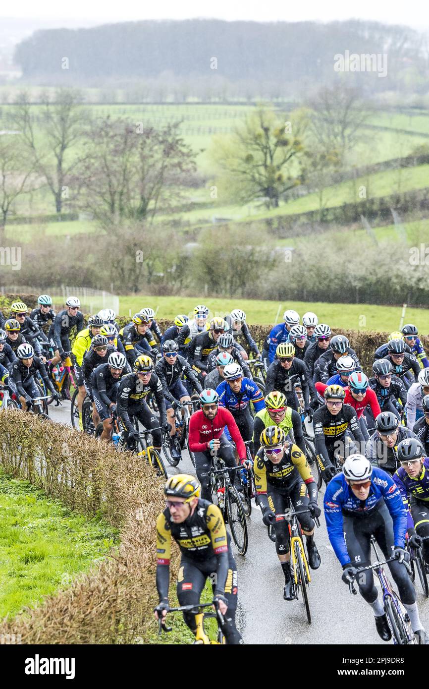 EIJSDEN - The peloton climbs the Bemelerberg during the Volta Limburg ...