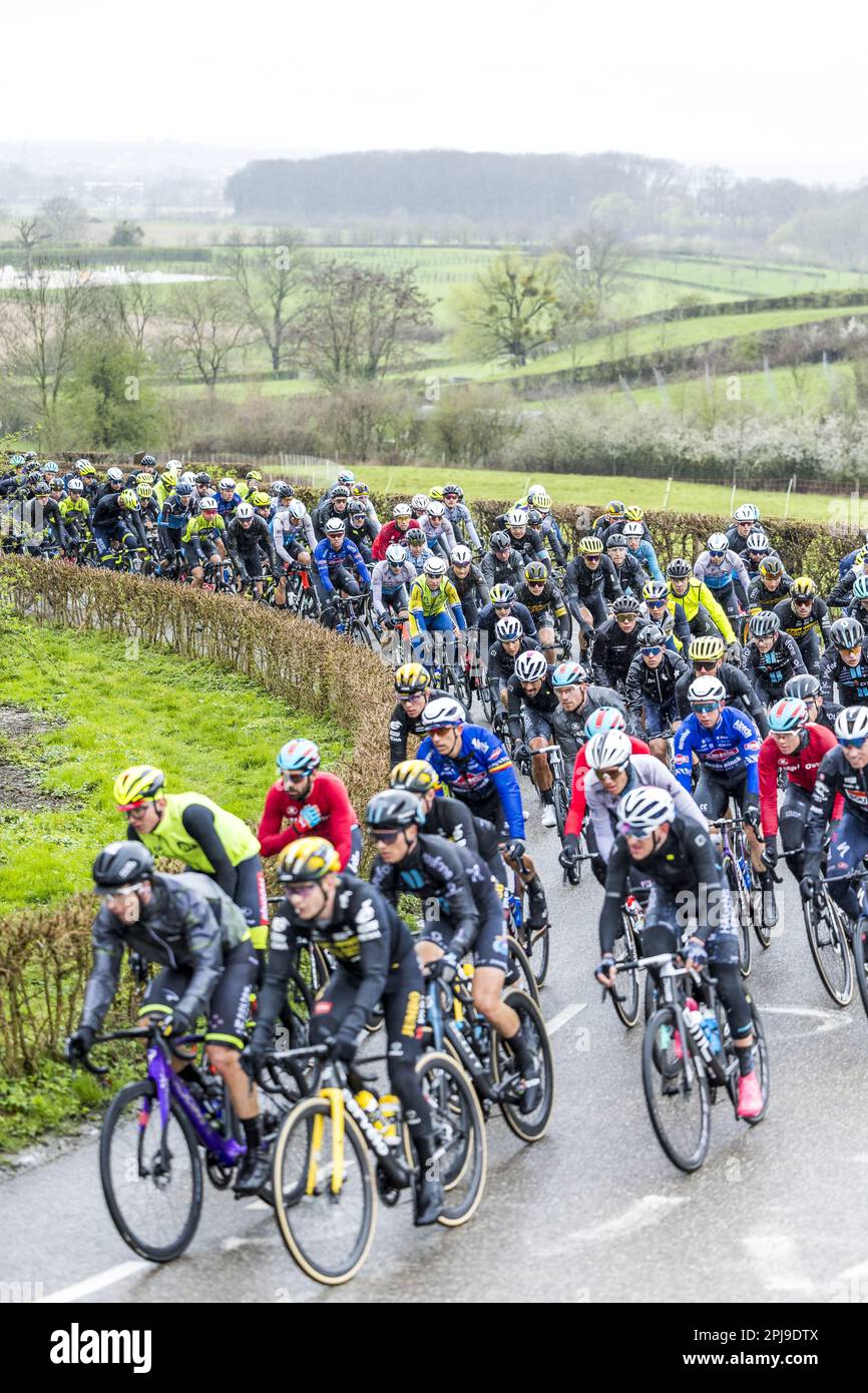 EIJSDEN - The peloton climbs the Bemelerberg during the Volta Limburg ...