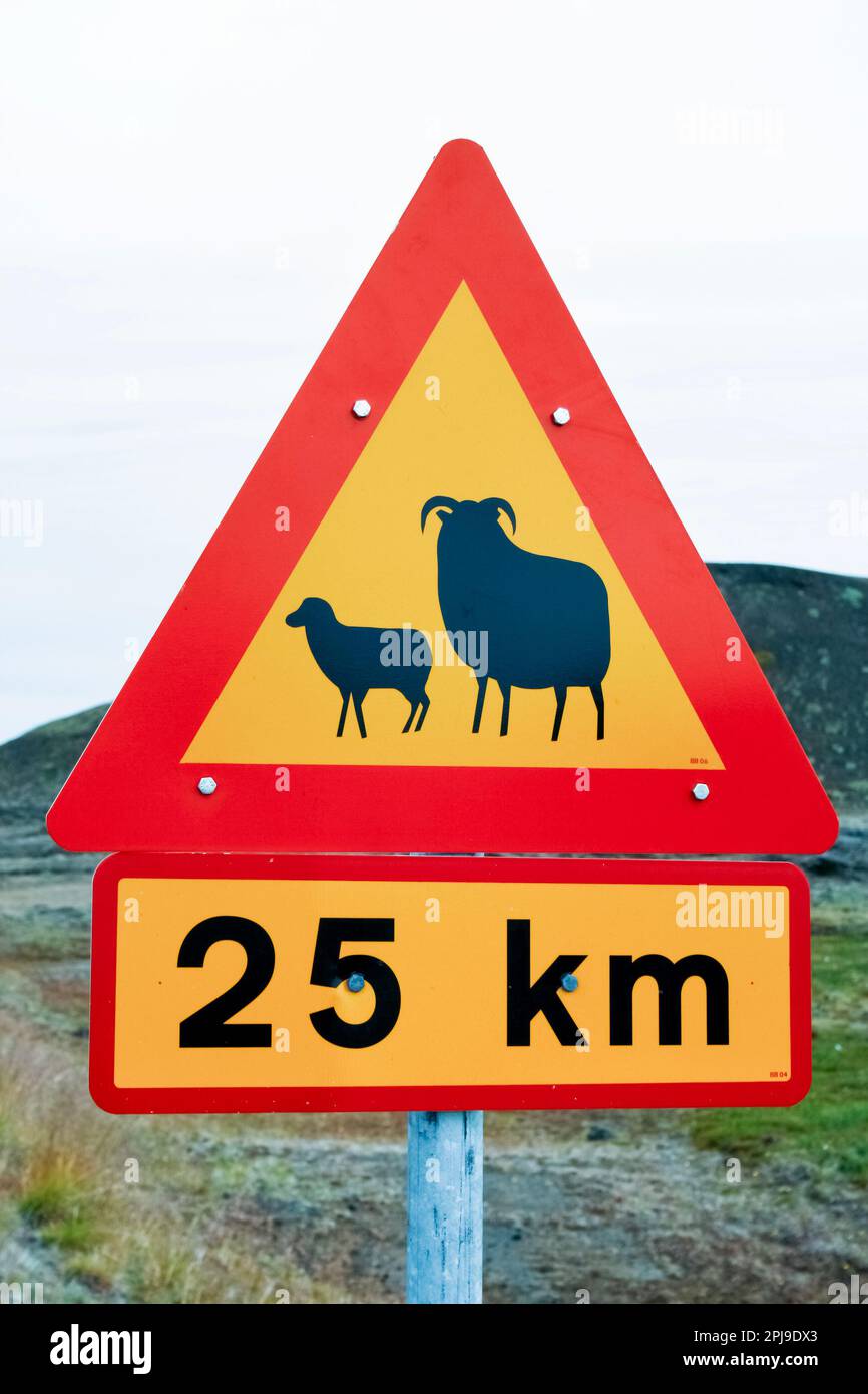 Warning sign sheep hi-res stock photography and images - Alamy