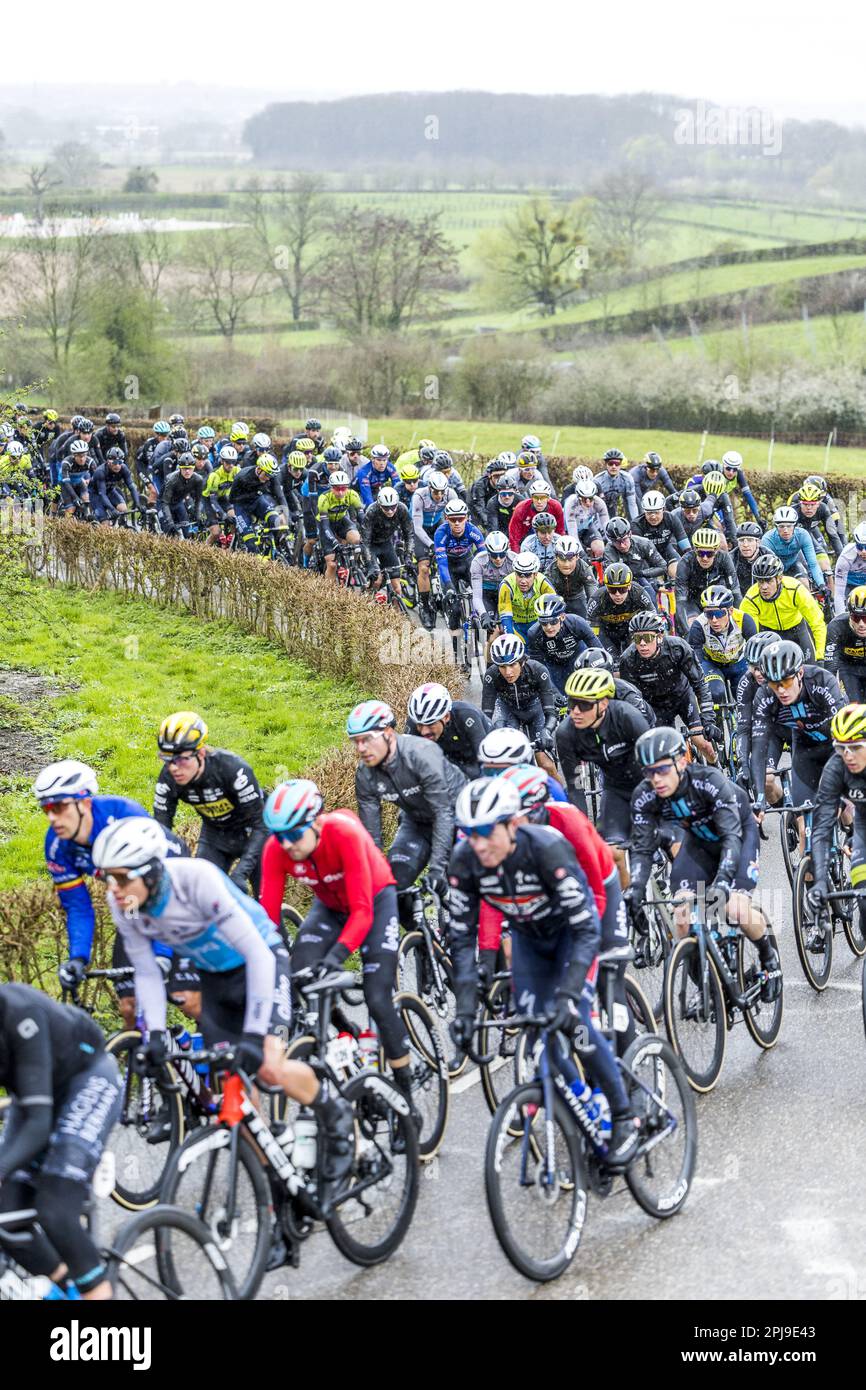 EIJSDEN - The peloton climbs the Bemelerberg during the Volta Limburg ...