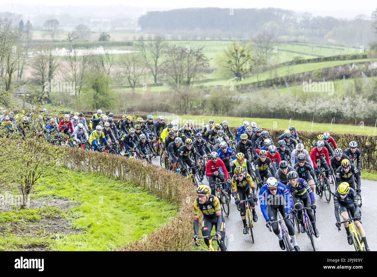 EIJSDEN - The peloton climbs the Bemelerberg during the Volta Limburg ...
