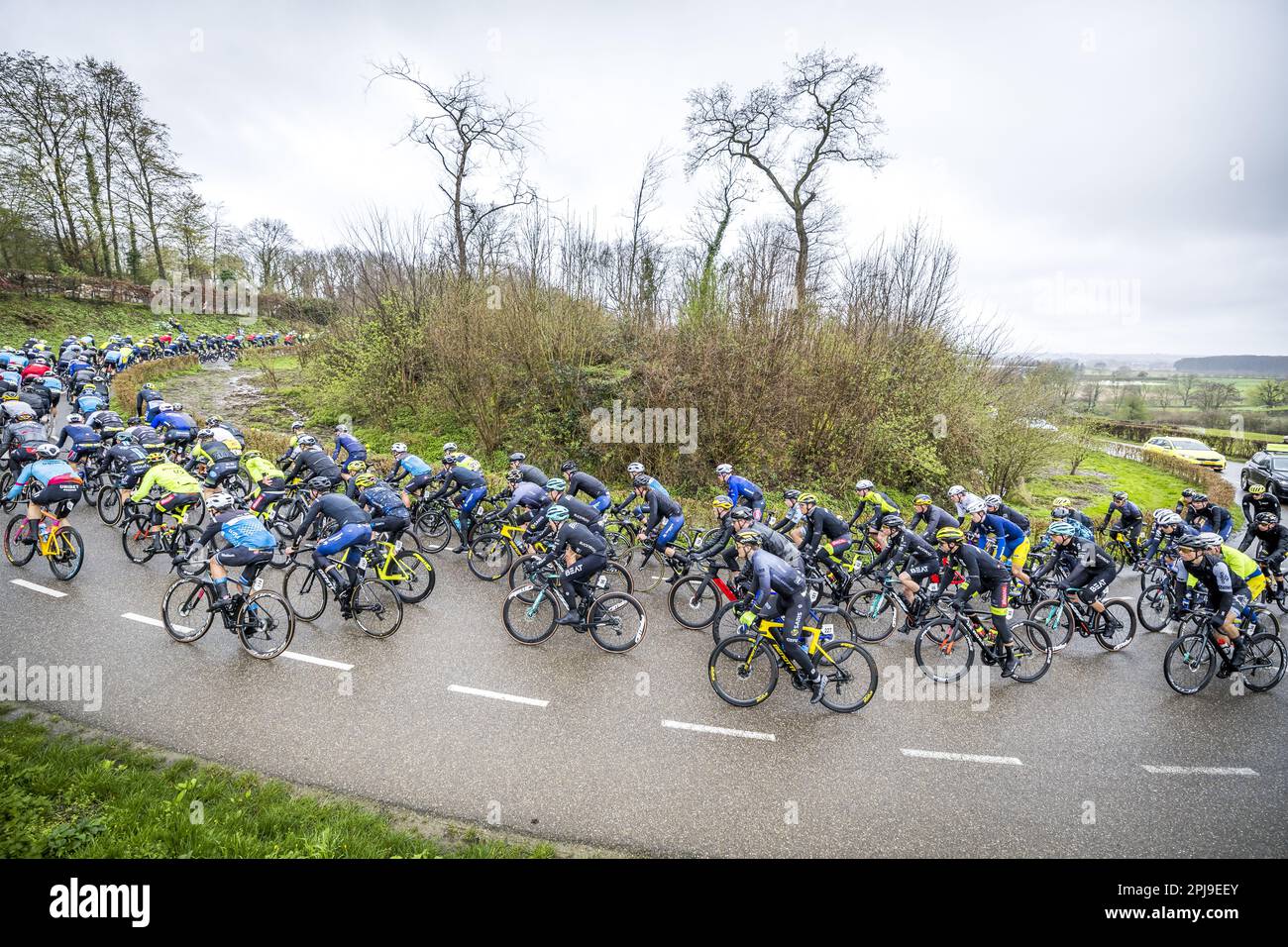 EIJSDEN - The peloton climbs the Bemelerberg during the Volta Limburg ...
