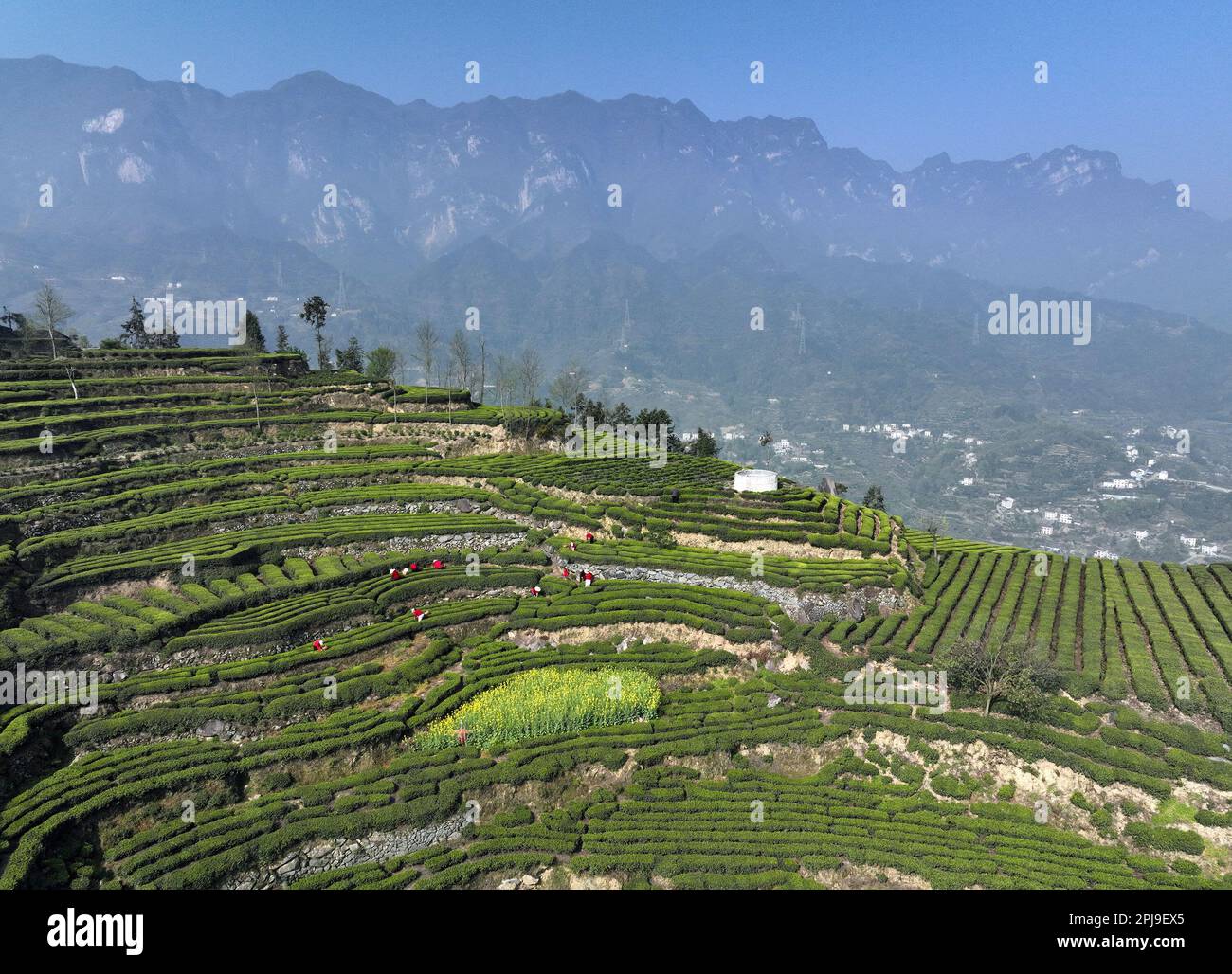 Zigui. 1st Apr, 2023. This aerial photo taken on April 1, 2023 shows ...