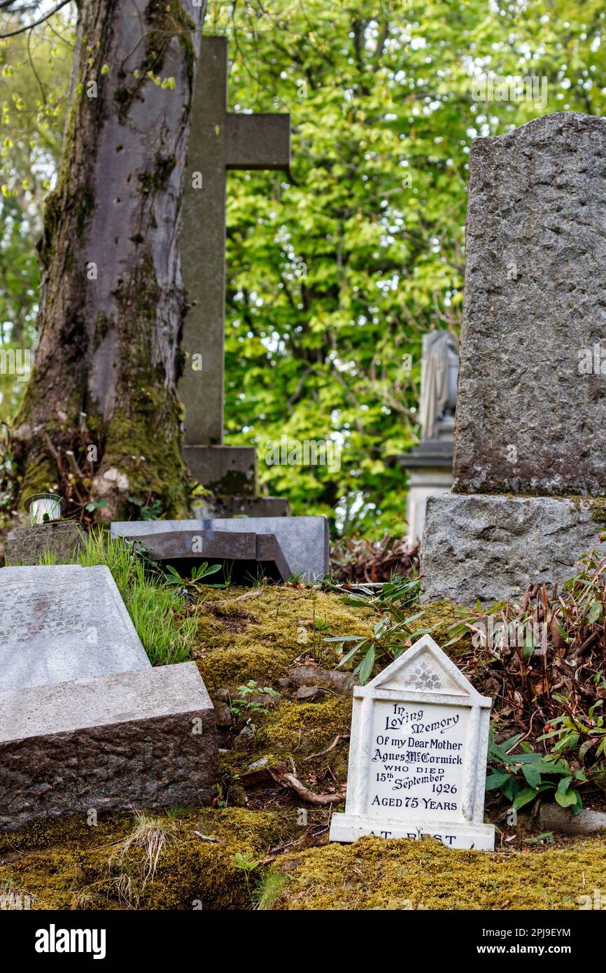 1920s grave in Paisley Stock Photo - Alamy