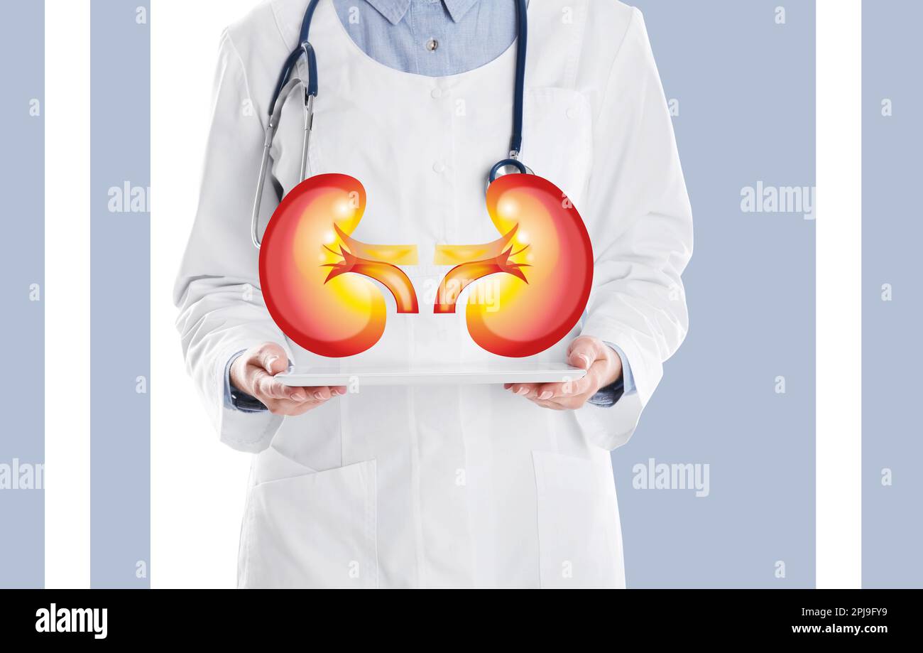 Closeup view of doctor holding modern tablet and illustration of ...