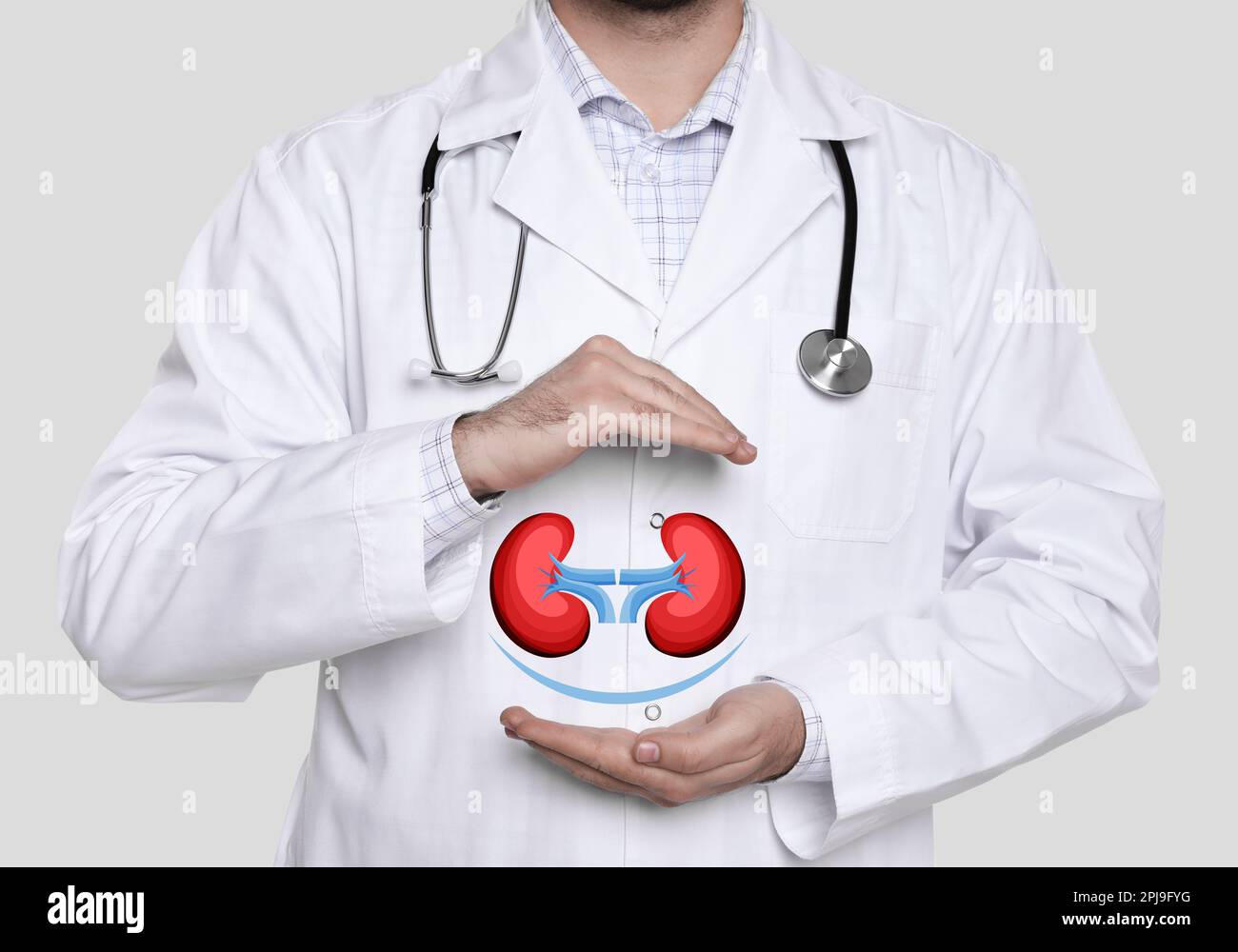 Closeup view of doctor and illustration of kidneys on light background ...
