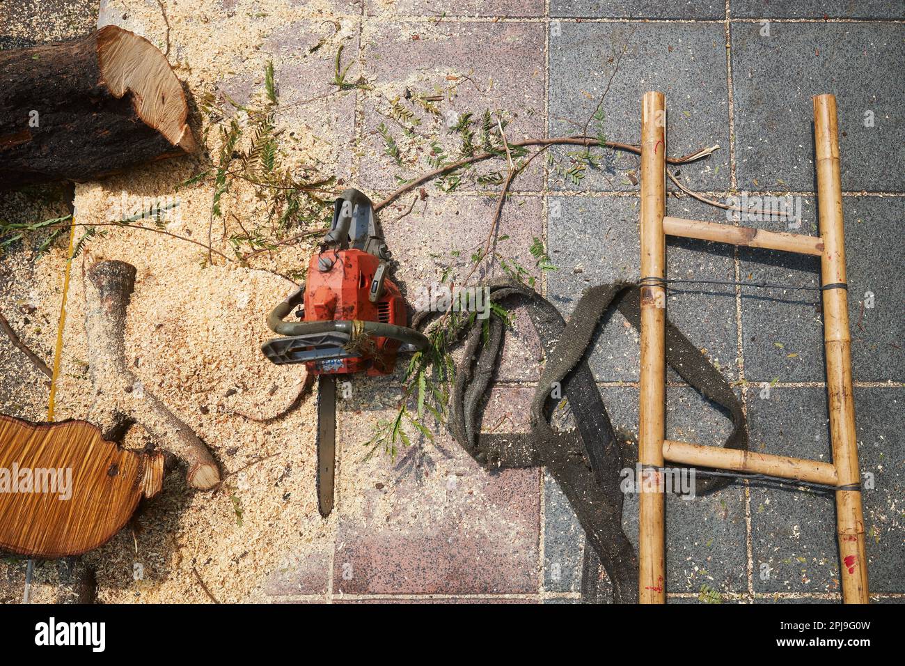 Chainsaw and ladder in the middle of the sawdust on sidewalk during the ...