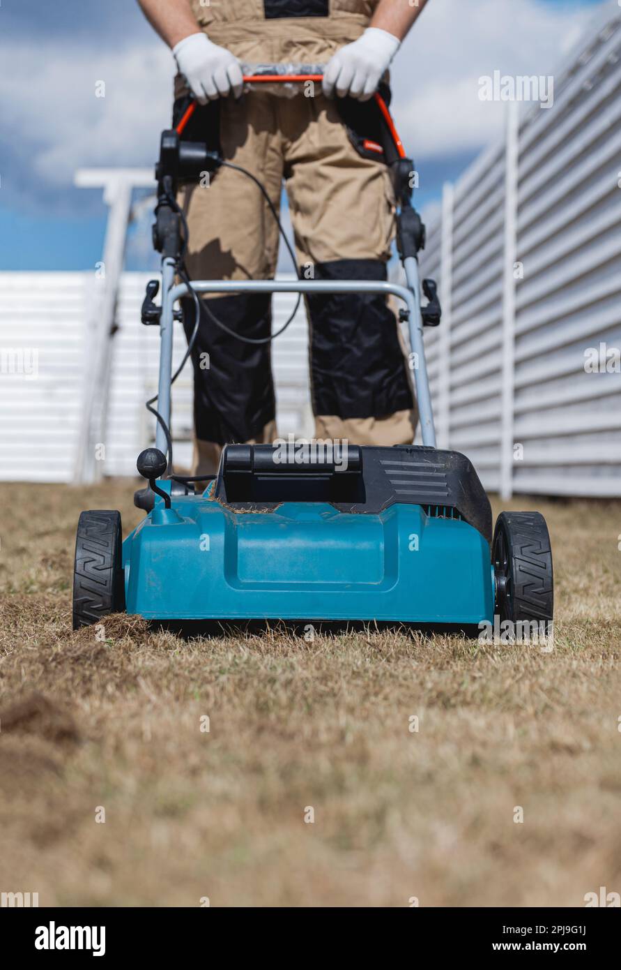 Scarifying lawn with scarifier, Man gardener scarifies the lawn and ...
