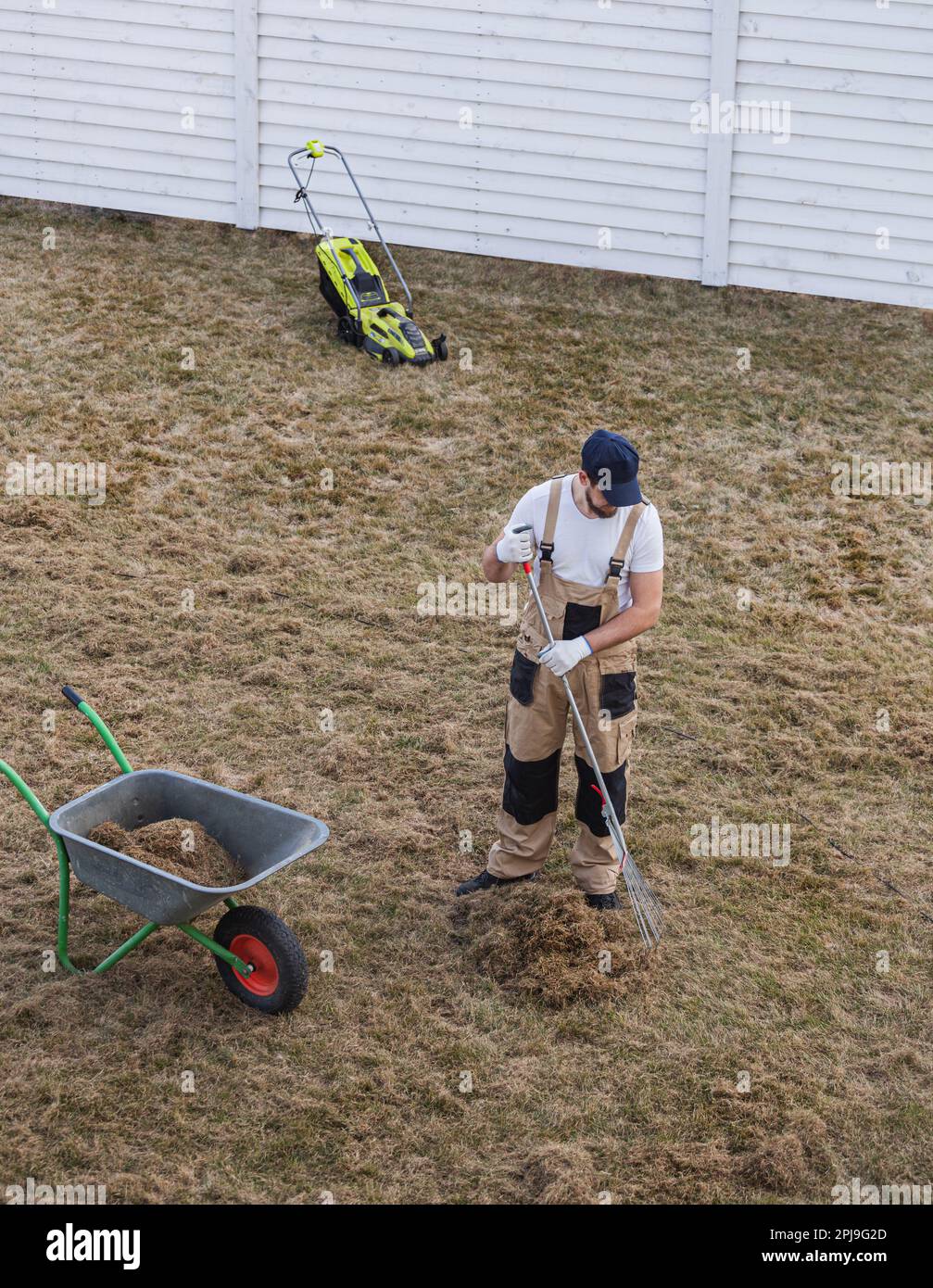 Scarifying lawn with rake and scarifier, Man gardener scarifies the ...