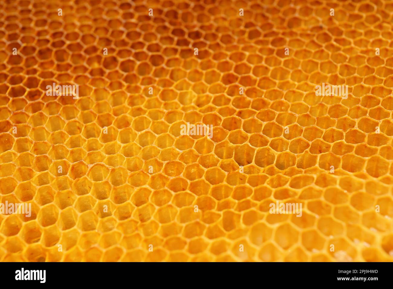 Texture of empty honeycomb as background, closeup view Stock Photo - Alamy