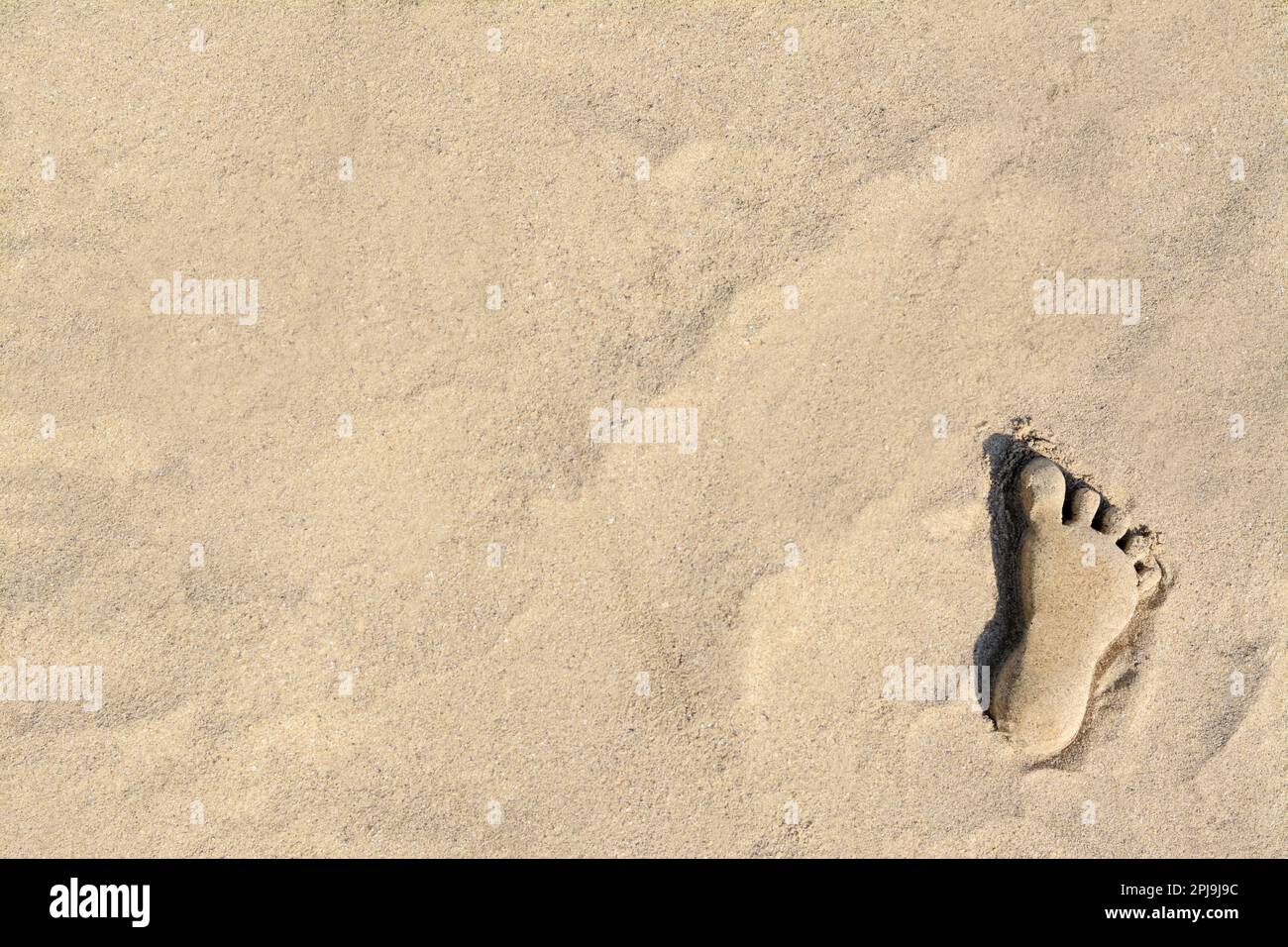 Human foot made of sand on beach, top view. Space for text Stock Photo ...