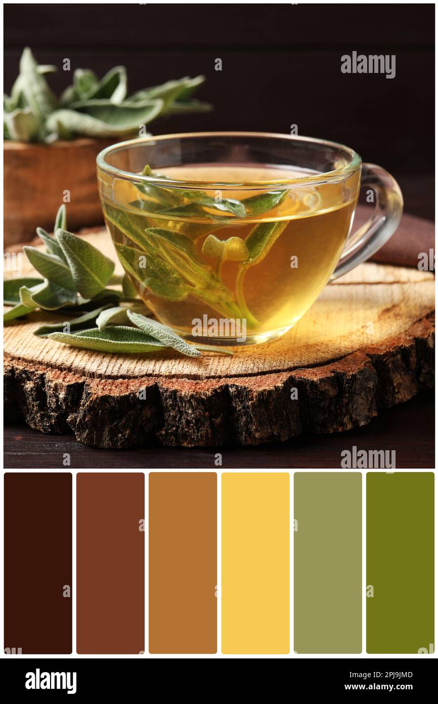 Color palette and cup of aromatic sage tea served with honey on wooden ...