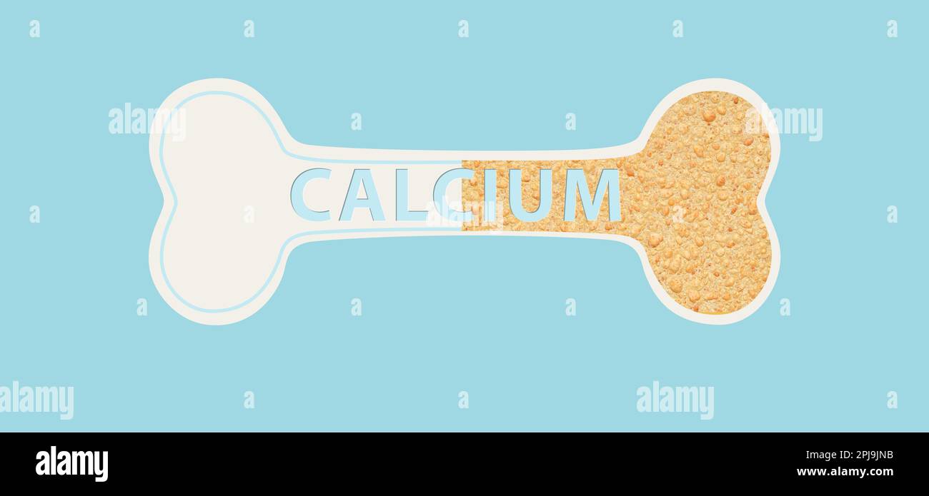 Illustration of bone and word CALCIUM on light blue background, banner ...