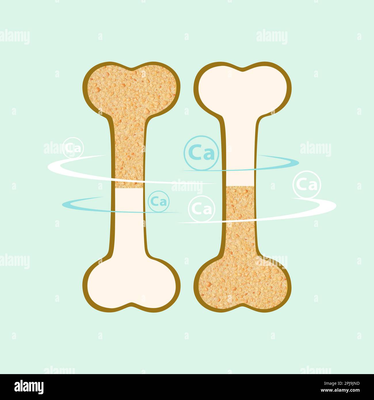 Illustration of bones and Ca symbols on light blue background Stock ...