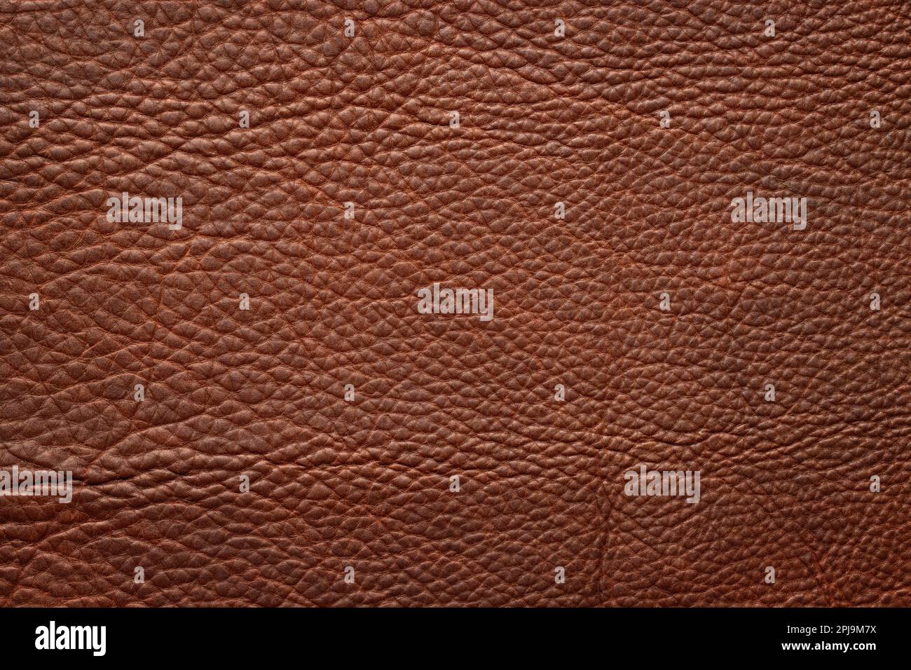 Dark Brown Leather Swatch