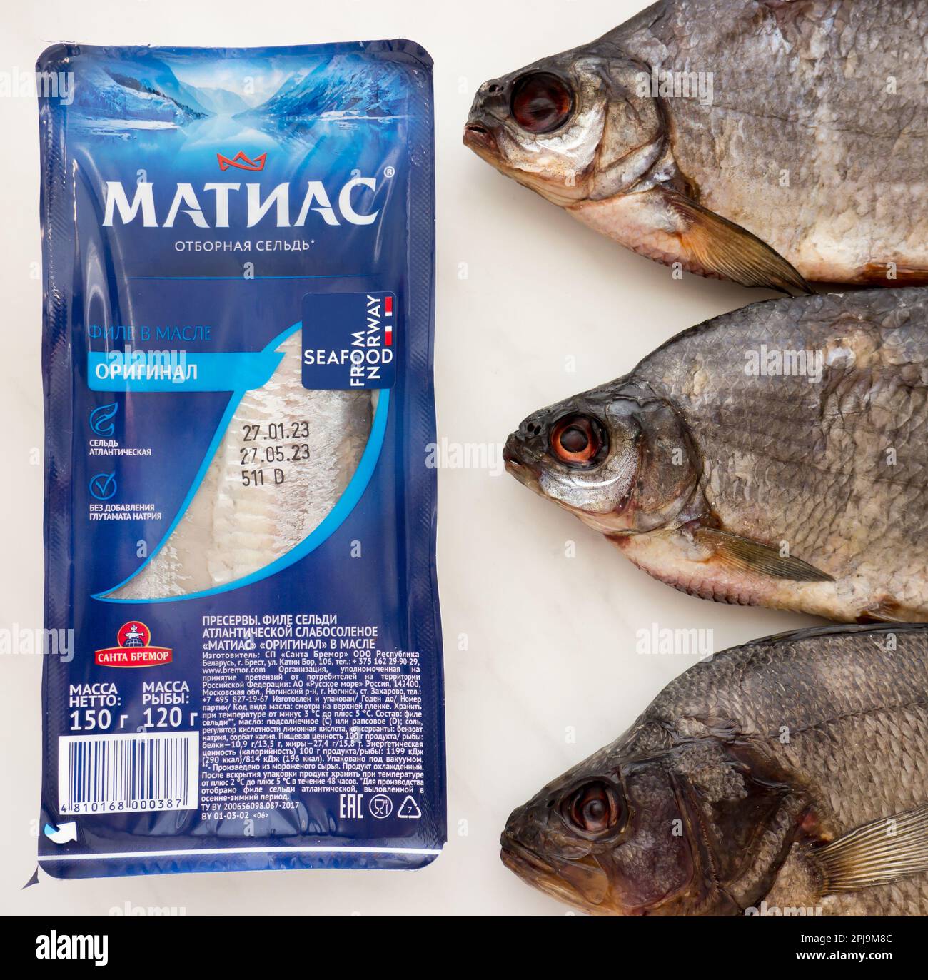 Santa Bremor Fish Stock Photo - Alamy