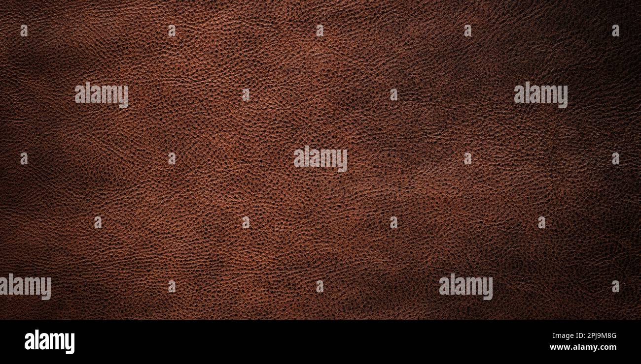 Cowhide background hi-res stock photography and images - Alamy