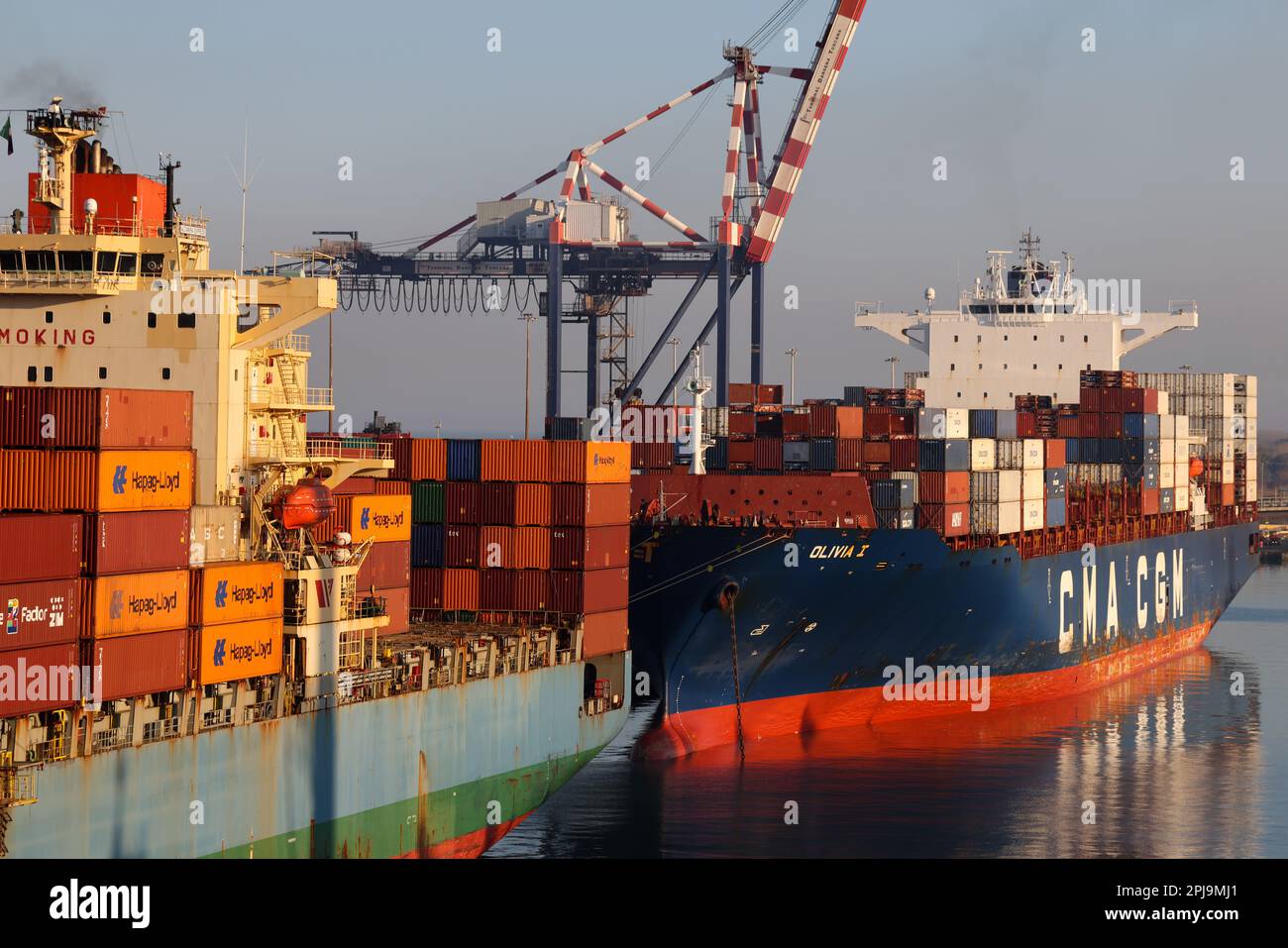 Livorno, Italy - 08 20 2023: Container terminal with stowed containers ...