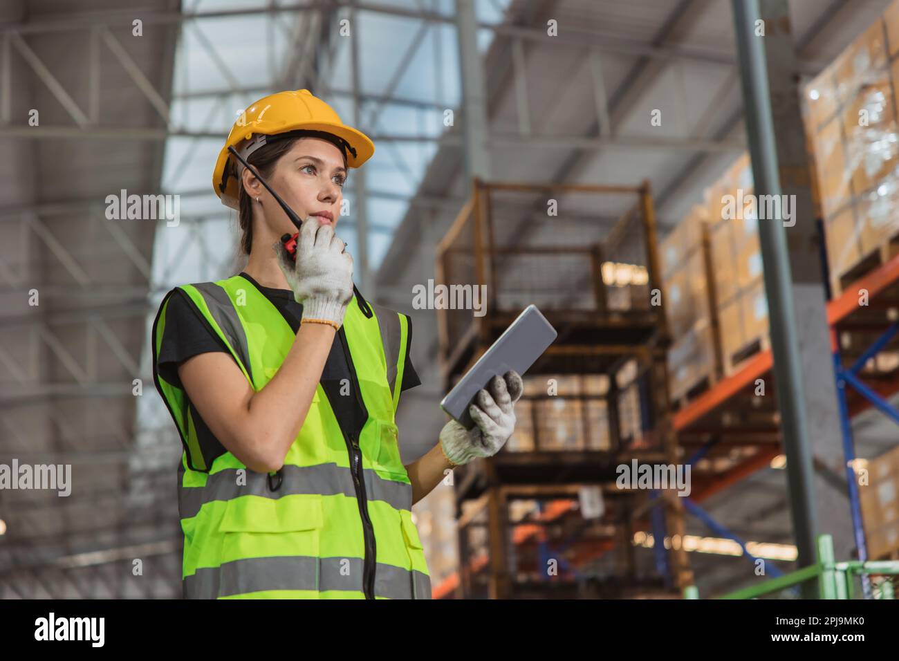 portrait working woman staff worker inventory management supervisor team work operate warehouse ...
