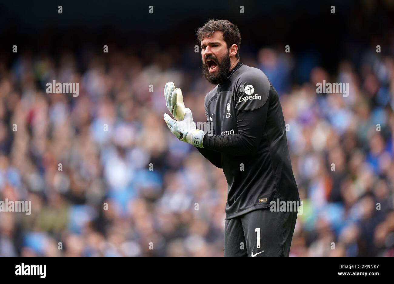 Liverpool goalkeeper Alisson Becker during the Premier League match at ...
