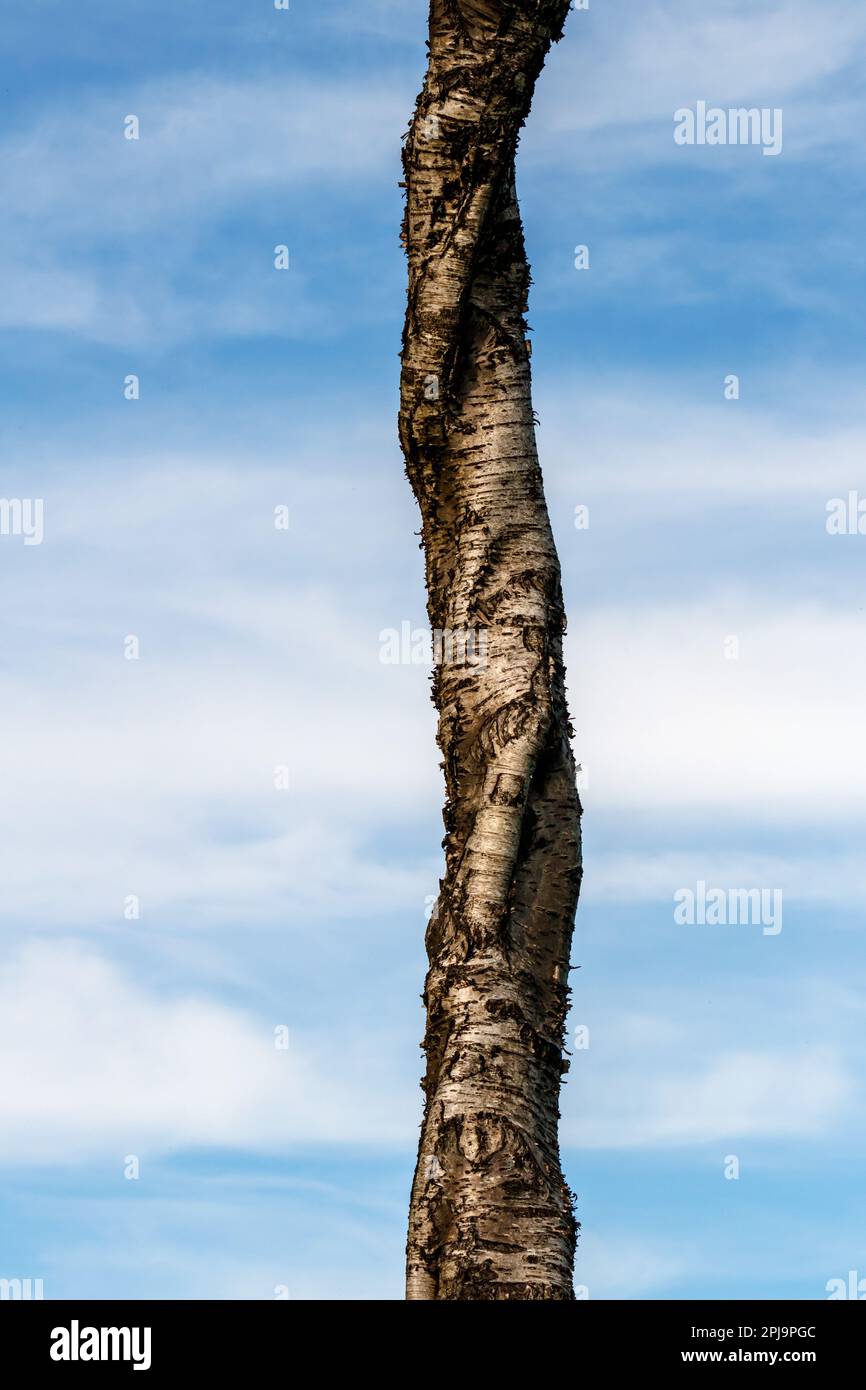 Torwood hi-res stock photography and images - Alamy