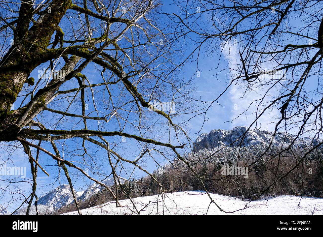 Grande Chartreuse monastery area, Isère, France Stock Photo - Alamy