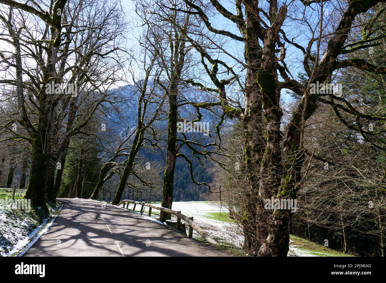 Grande Chartreuse monastery area, Isère, France Stock Photo - Alamy