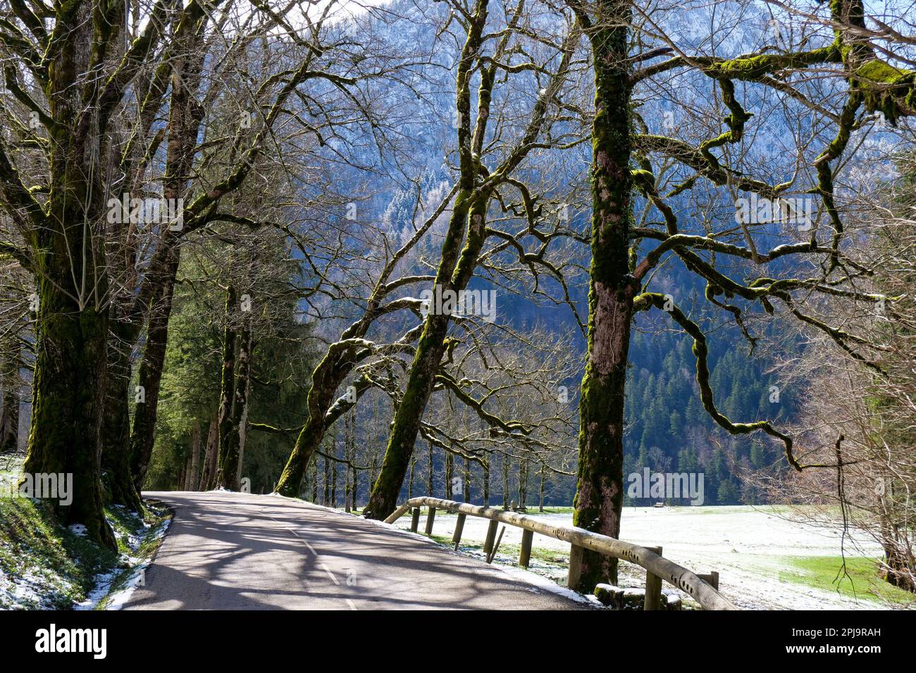 Grande Chartreuse monastery area, Isère, France Stock Photo - Alamy