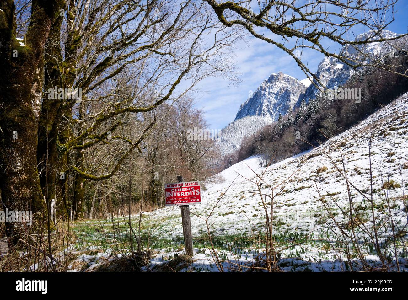 Grande Chartreuse monastery area, Isère, France Stock Photo - Alamy