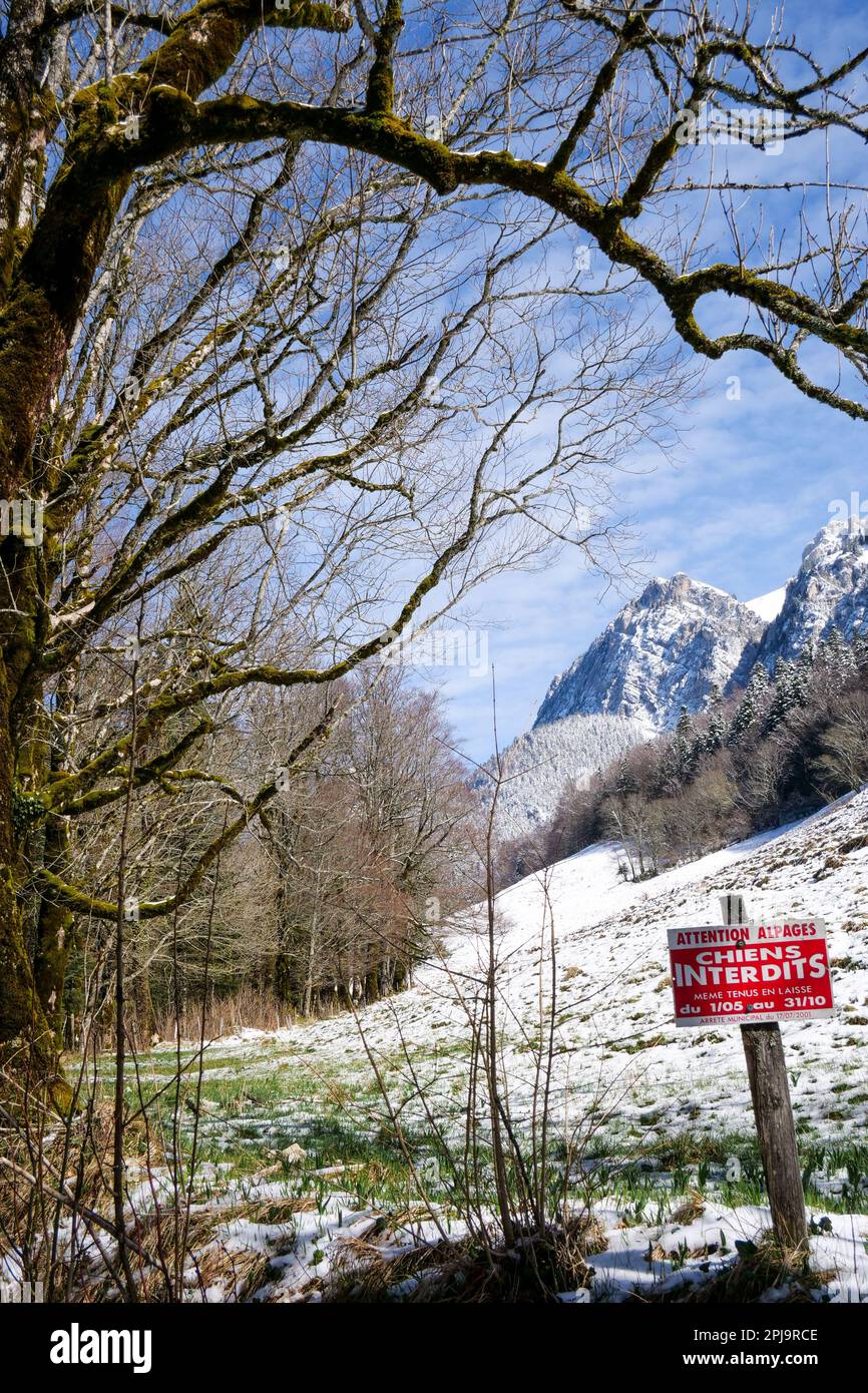 Grande Chartreuse monastery area, Isère, France Stock Photo - Alamy